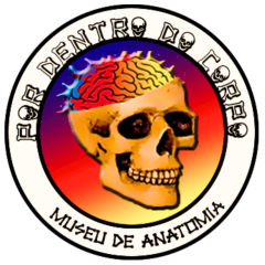 Ludmila Ribeiro - Mapa Cultural ES