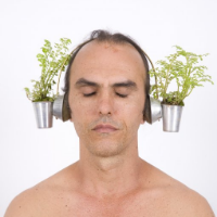 Julio Cesar Silva - Mapa Cultural ES